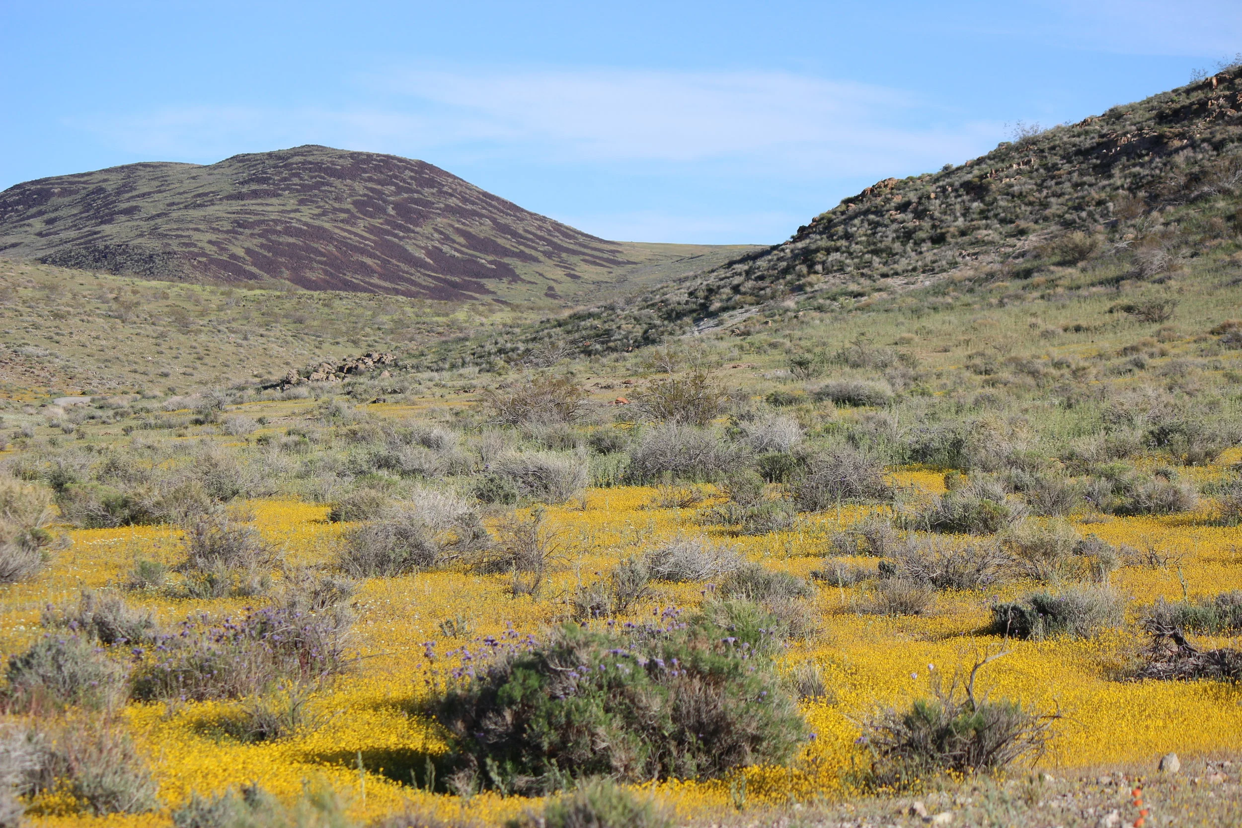 OHV INFORMATION — Transition Habitat Conservancy