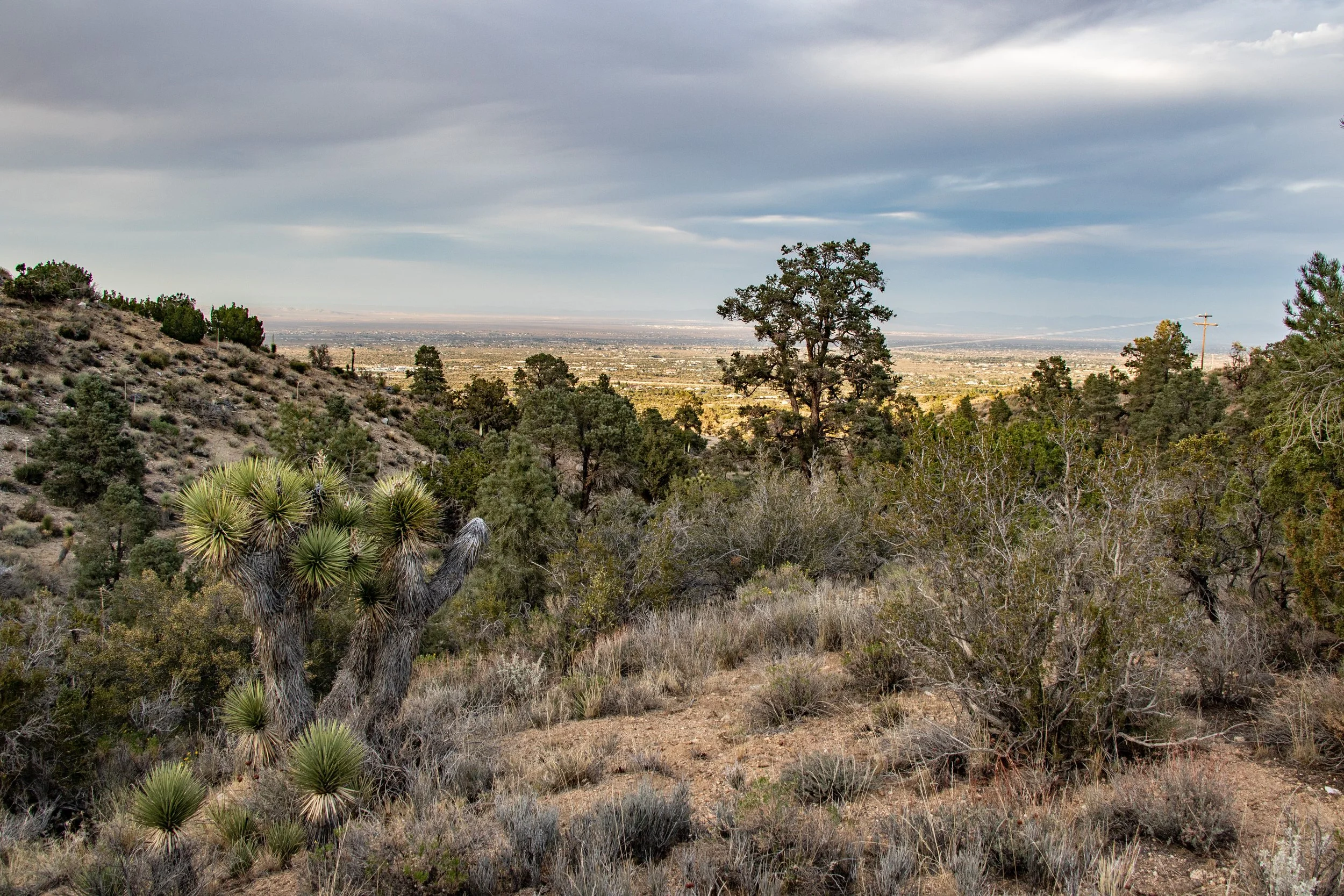 QR Landing Page — Transition Habitat Conservancy