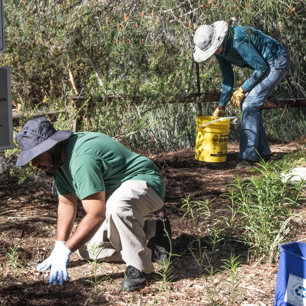 Community and Education — Transition Habitat Conservancy