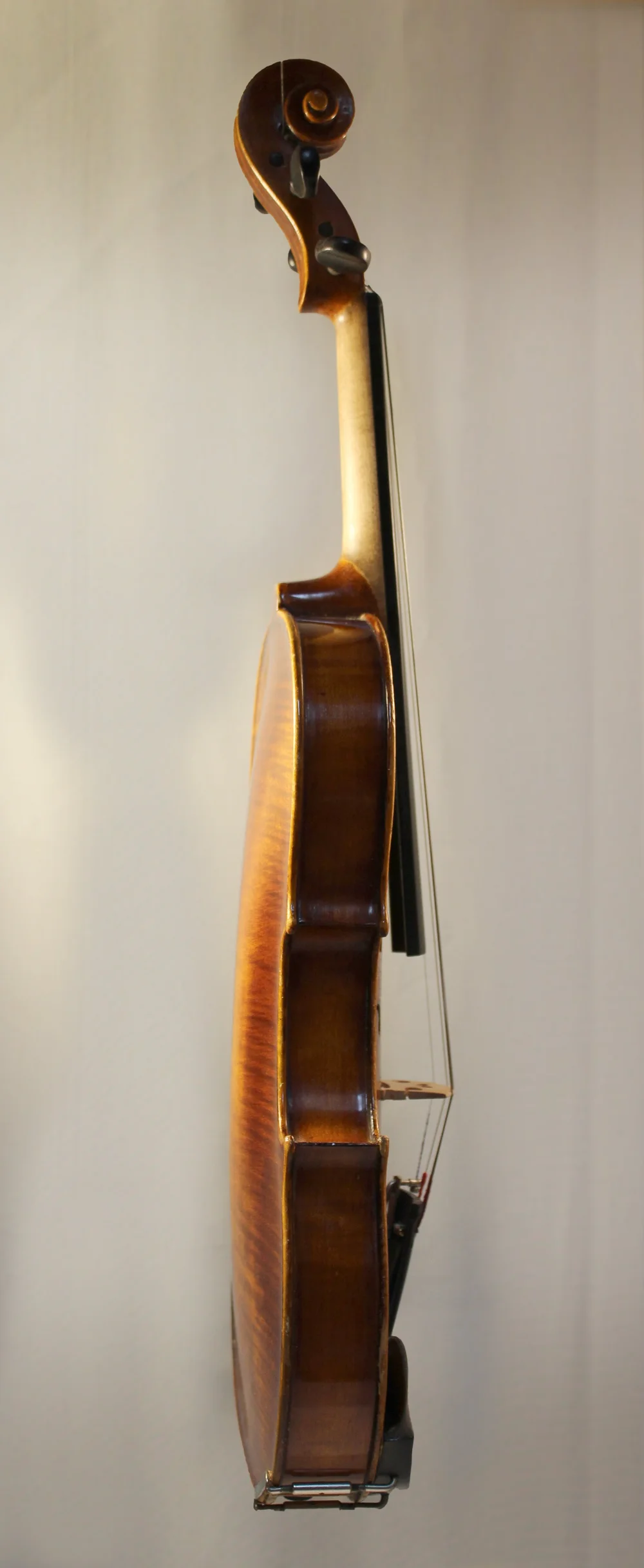 Violin 6 — John F. Reed Violins