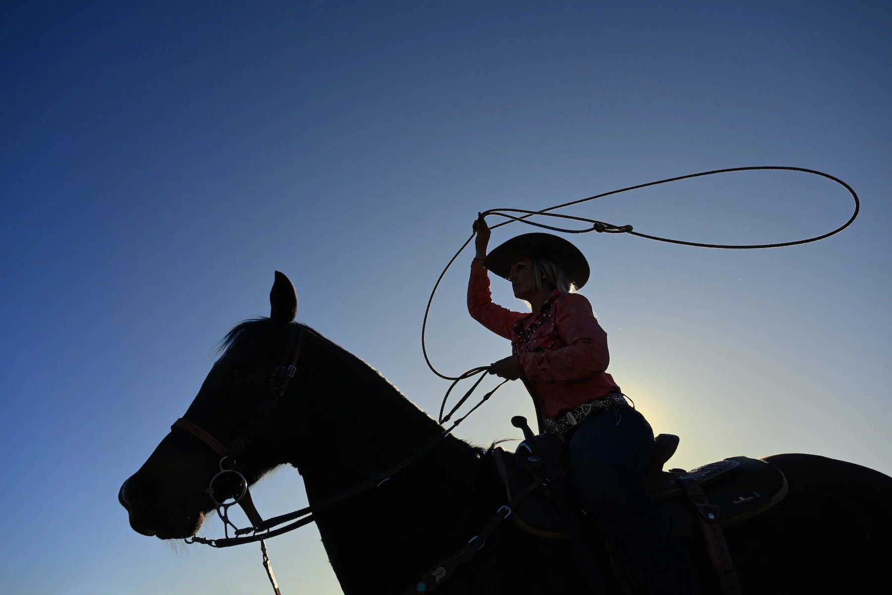 Nikon | Stef King Photographer