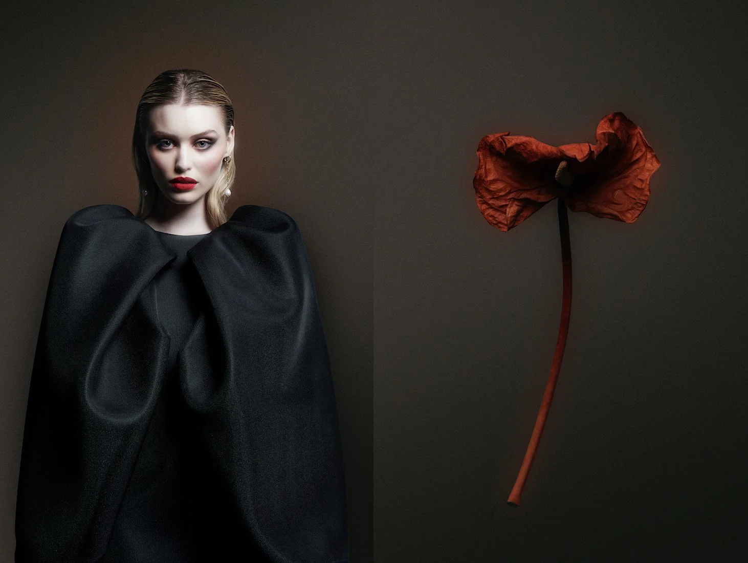 Botanical Fashion Series | Stef King Photographer