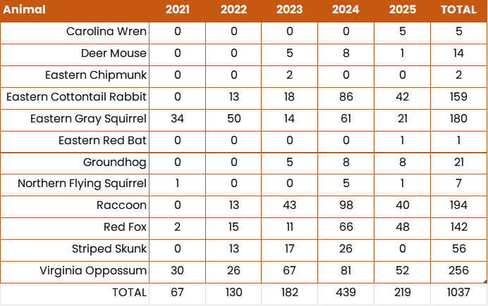 News and Events — FoxTales Wildlife Rehab