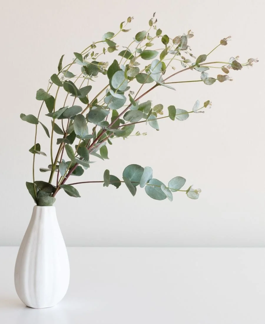 Contact — Design for Hope