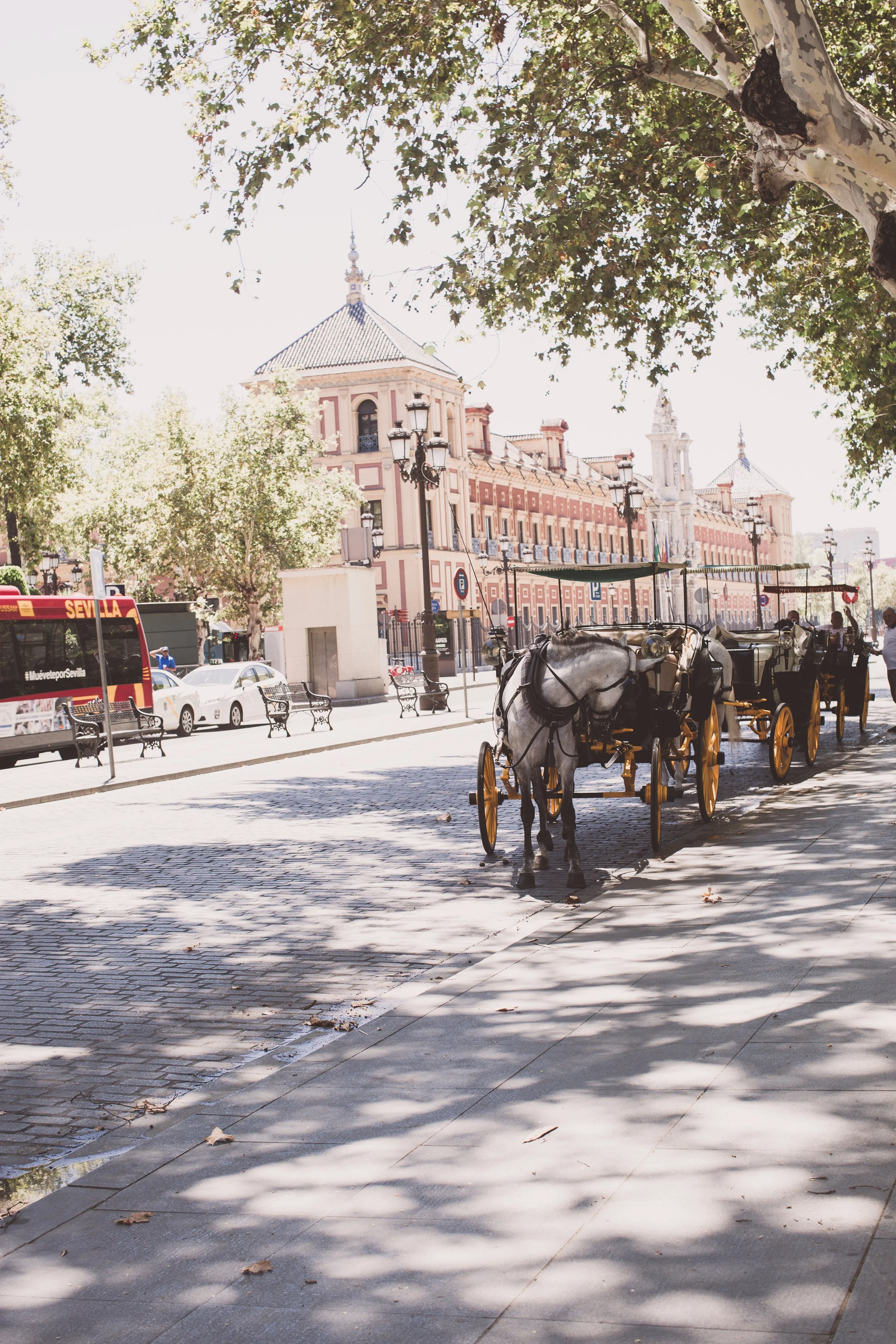 The Scenic Guide to Seville — Hanna Lionel