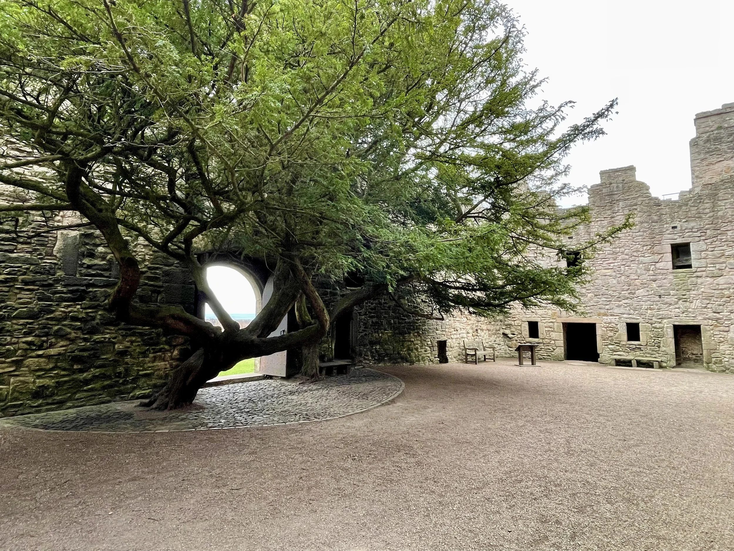 Edinburgh’s History in Ruins - Craigmillar Castle — Edinburgh Expert ...