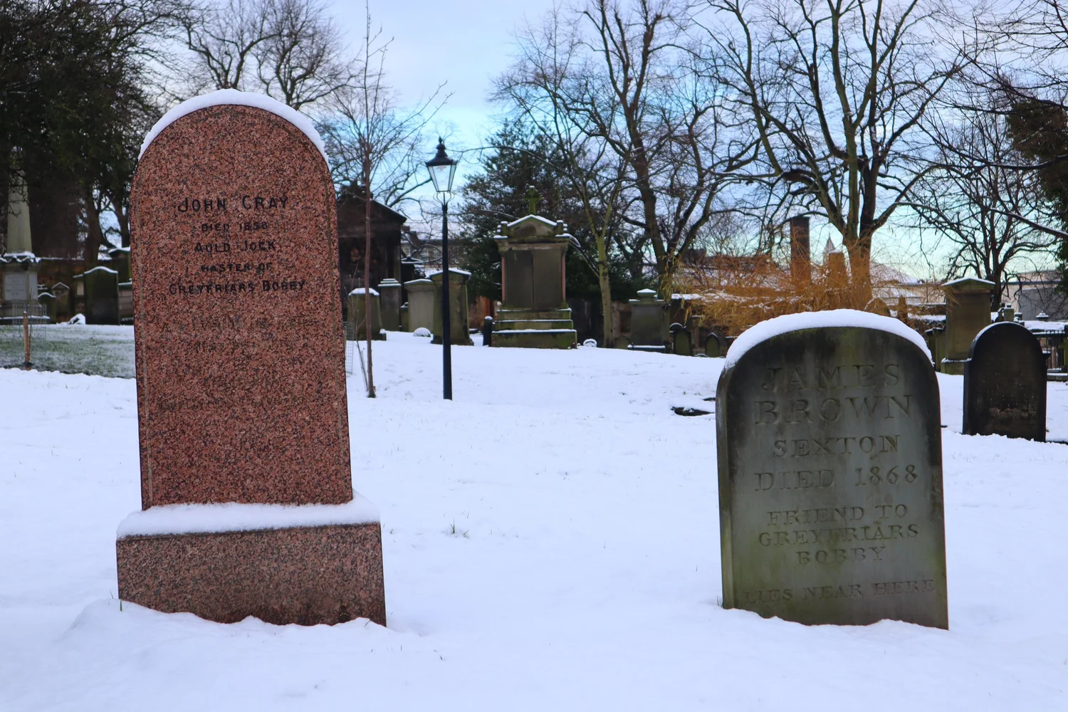 Edinburgh’s Local Heroes - Greyfriars Bobby — Edinburgh Expert Walking ...