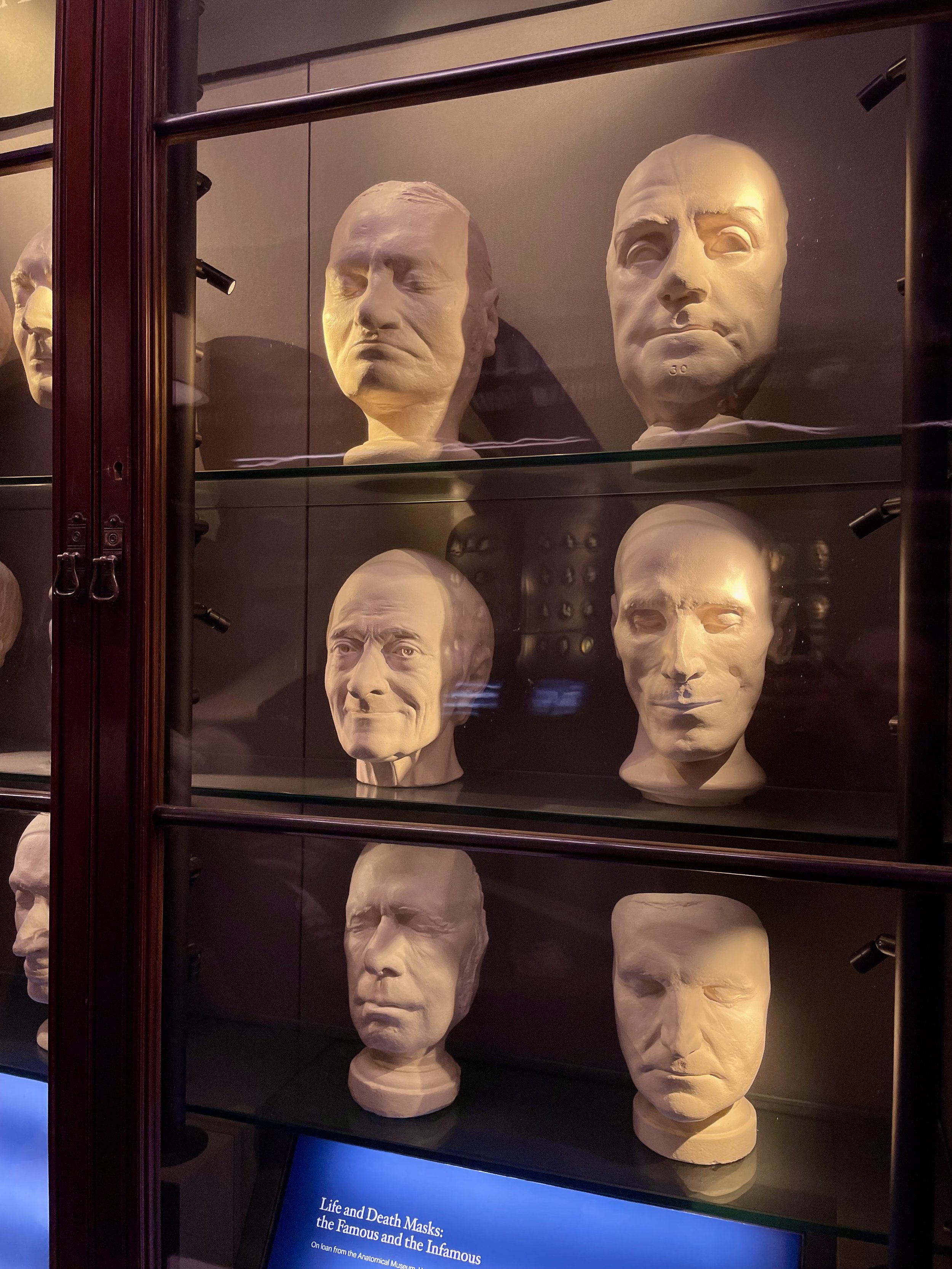 Edinburgh’s Museums and Galleries - The Surgeons’ Hall Museums and the ...