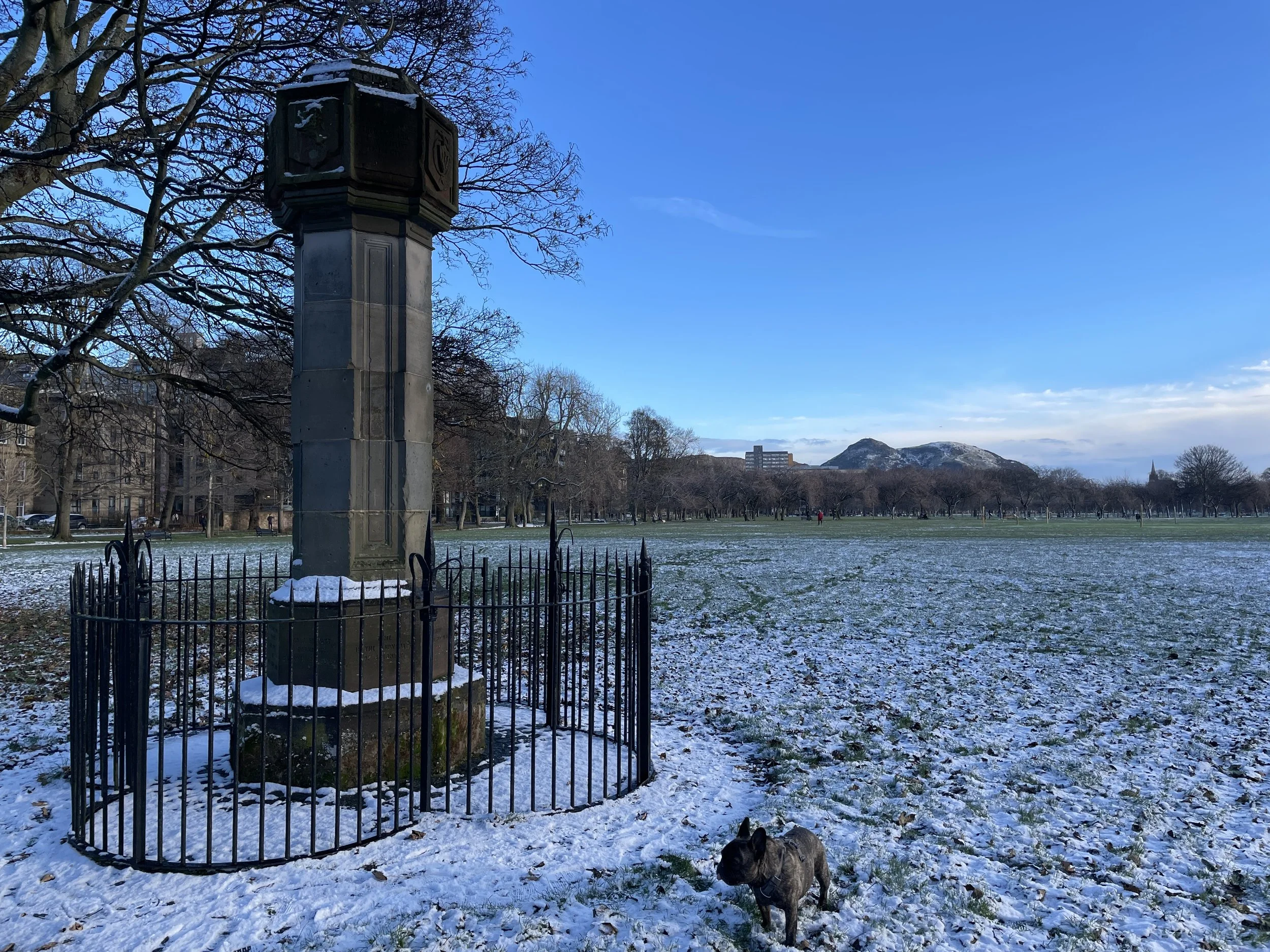 Edinburgh’s Parklife - The Meadows — Edinburgh Expert Walking Tours