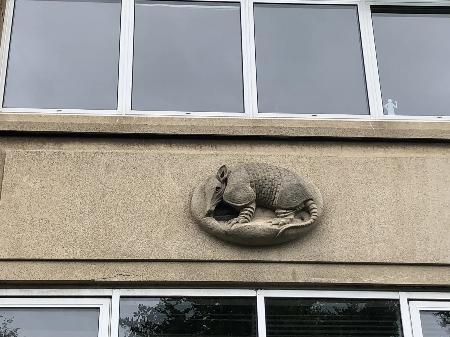 Lions, and Tigers, and Bears - Oh My! An Edinburgh bestiary — Edinburgh ...