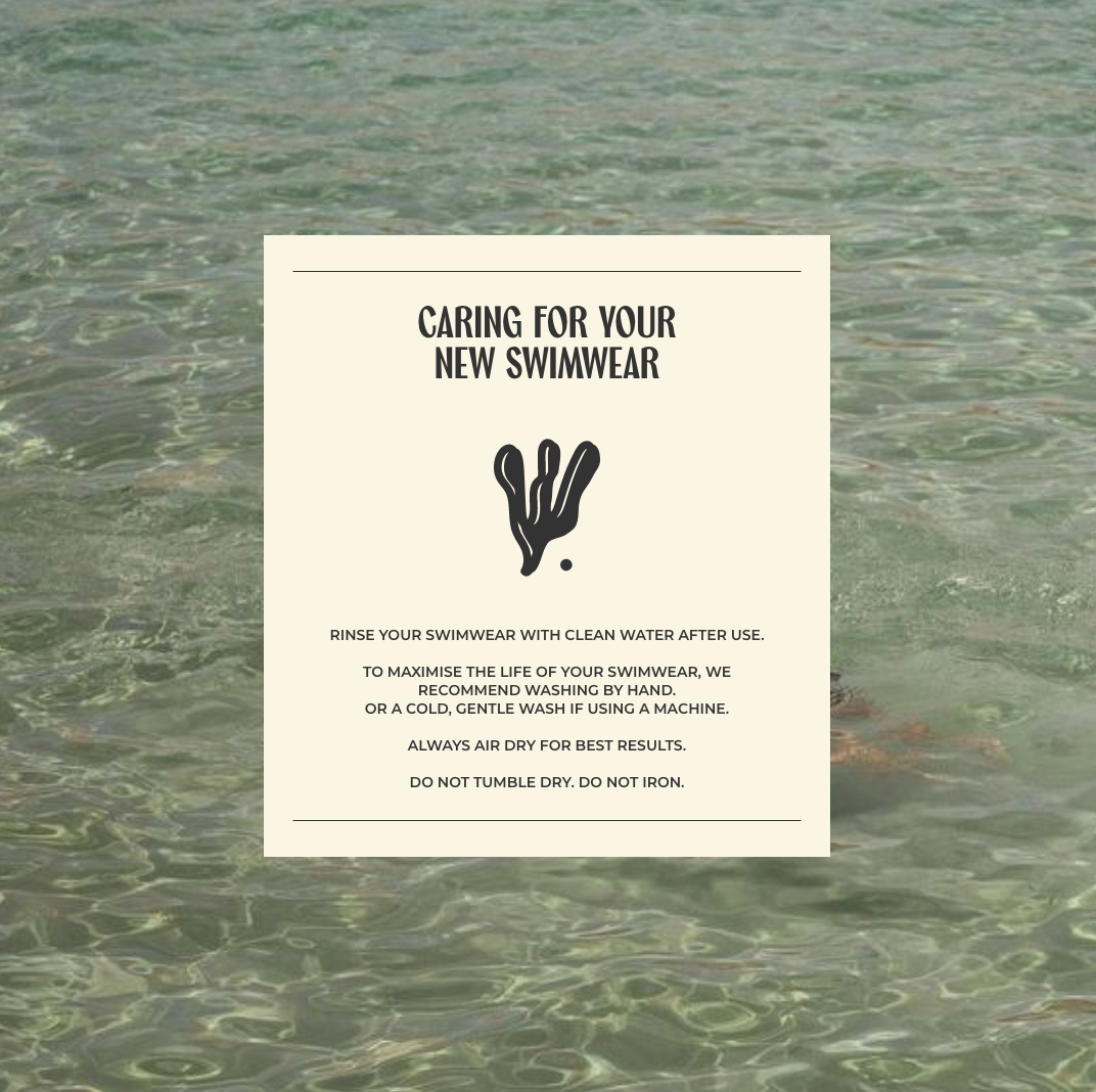 Services — Muse Design Studio