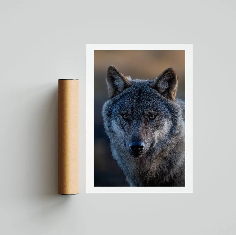 Print Shop — Luke Waller Photography