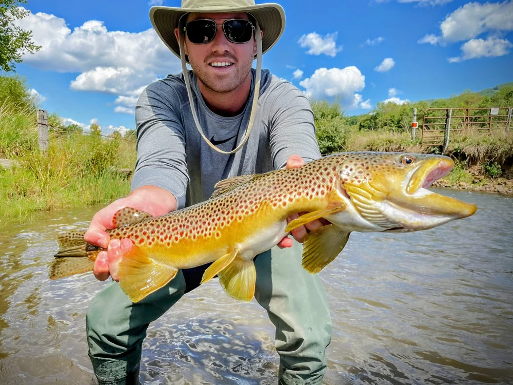 Matthew Thomas Fly Fishing