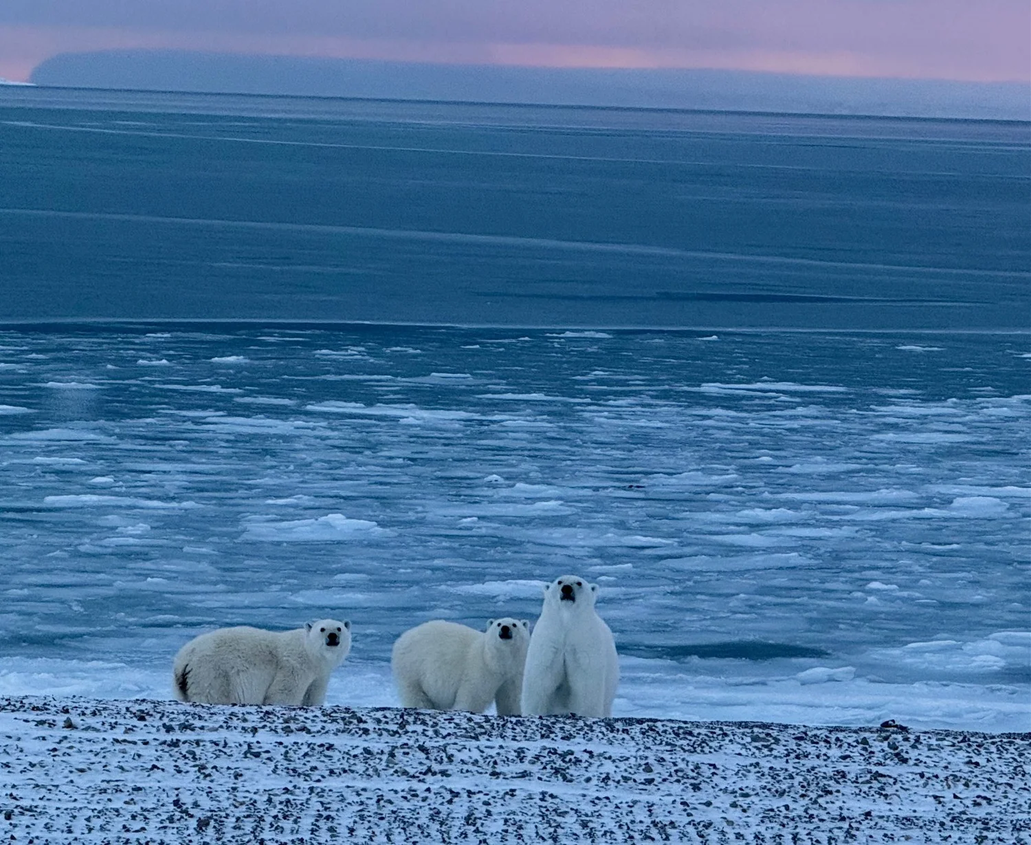 Community Profile: Resolute Bay — One Plane Away | Helping Nunavut moms ...