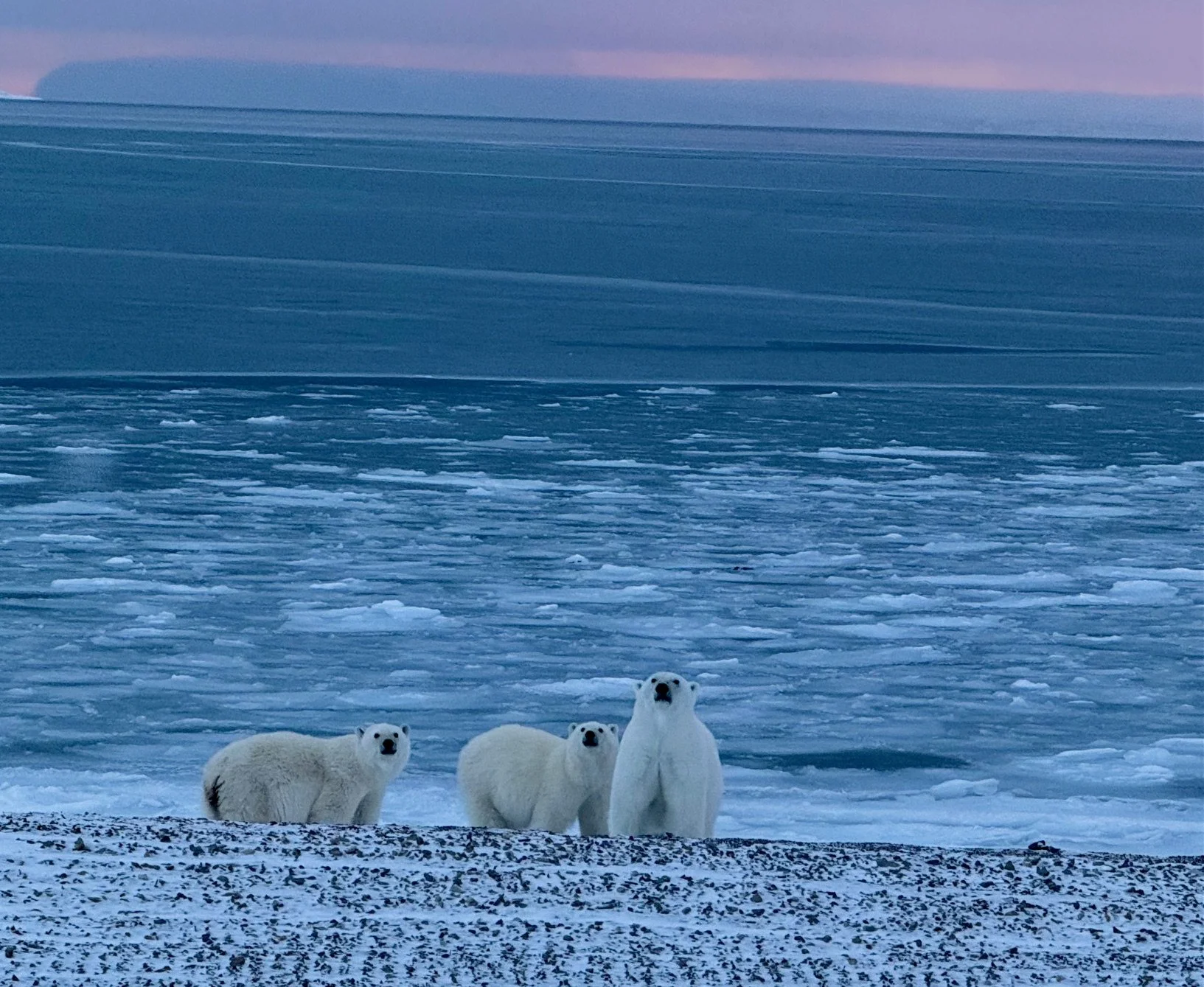 Community Profile: Resolute Bay — One Plane Away | Helping Nunavut moms ...