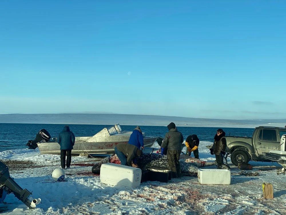 Community Profile: Resolute Bay — One Plane Away | Helping Nunavut moms ...