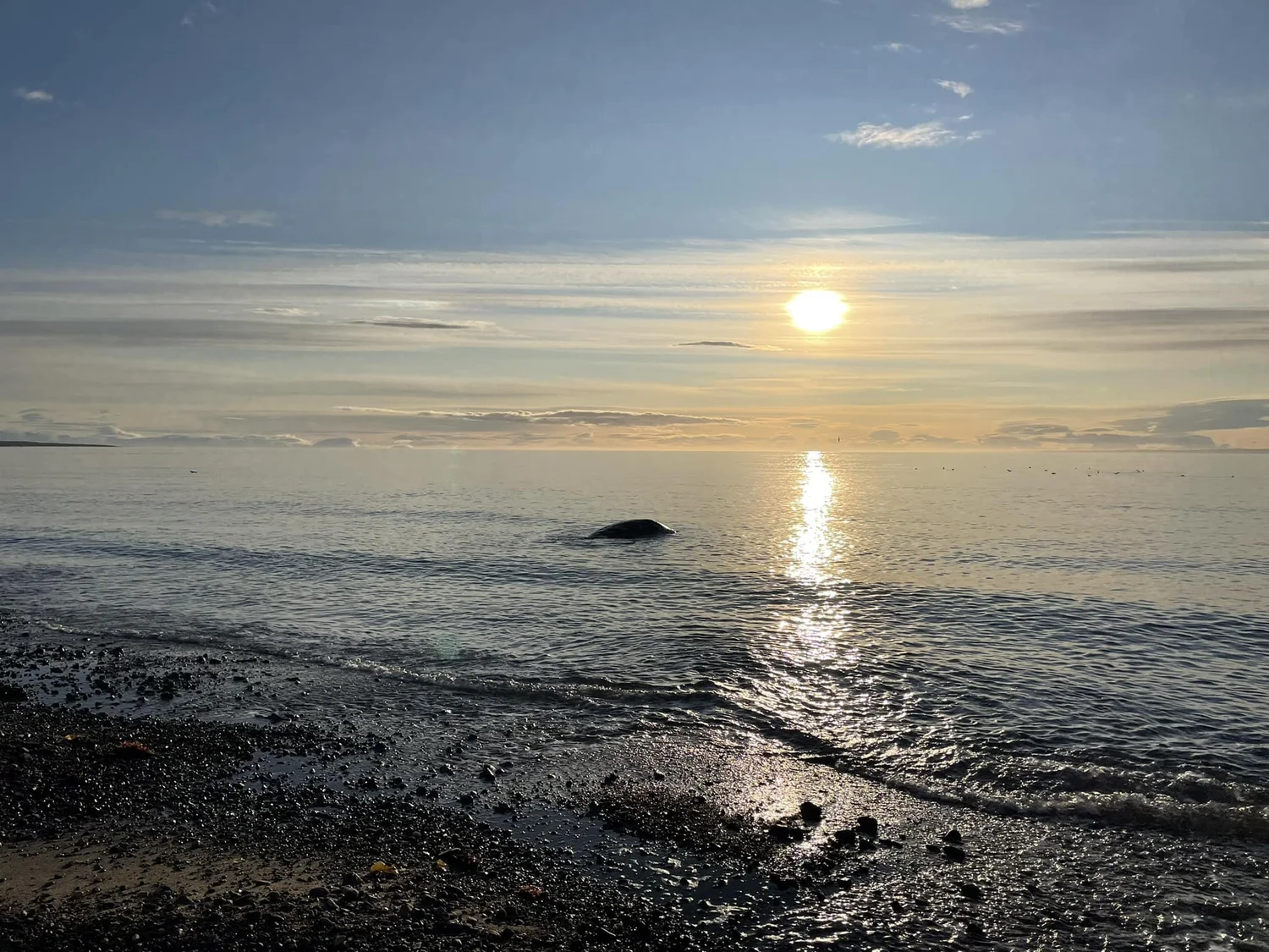 Community Profile: Pond Inlet — One Plane Away | Helping Nunavut moms ...
