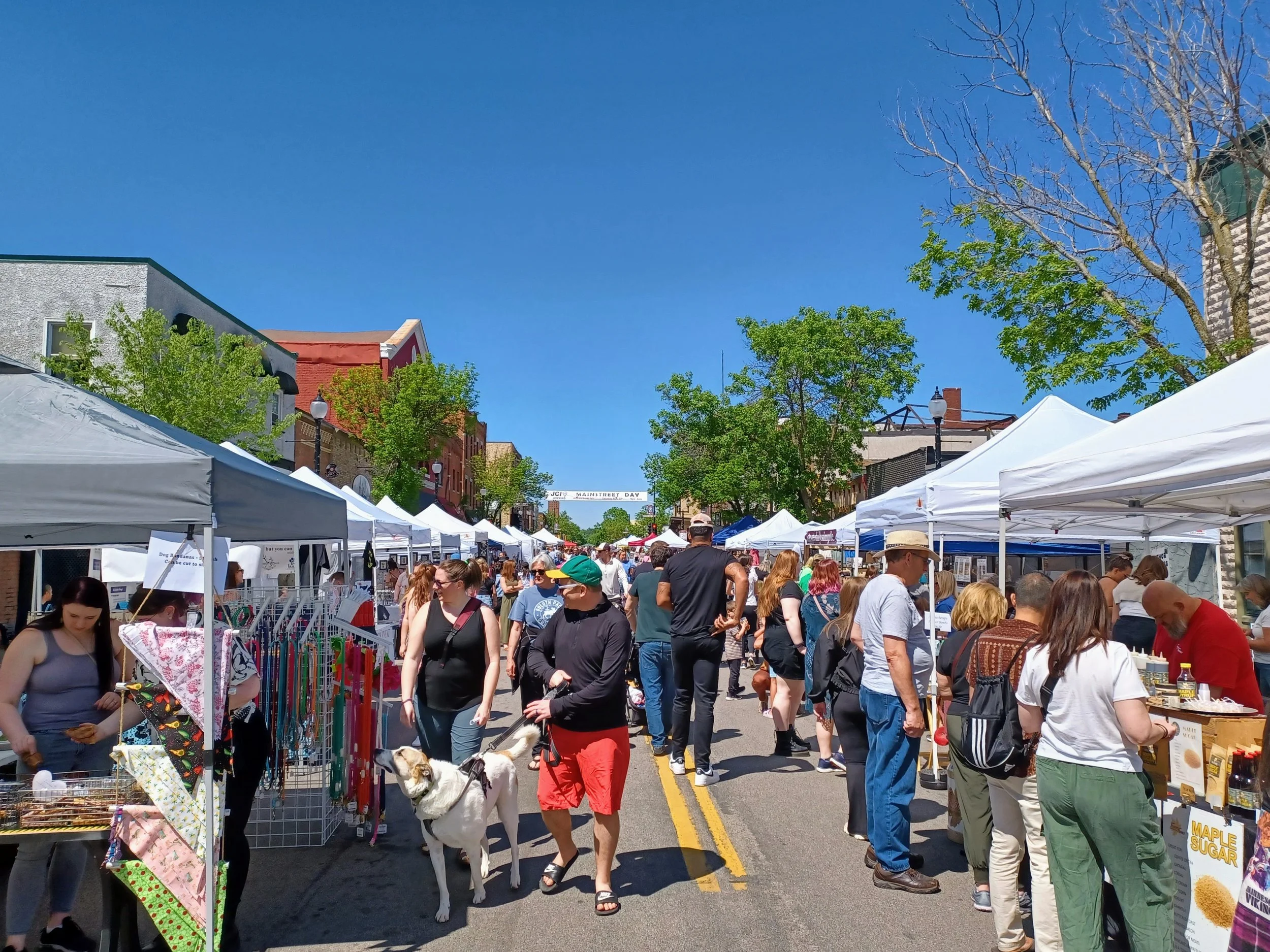 Mainstreet Day — Hopkins Education Foundation
