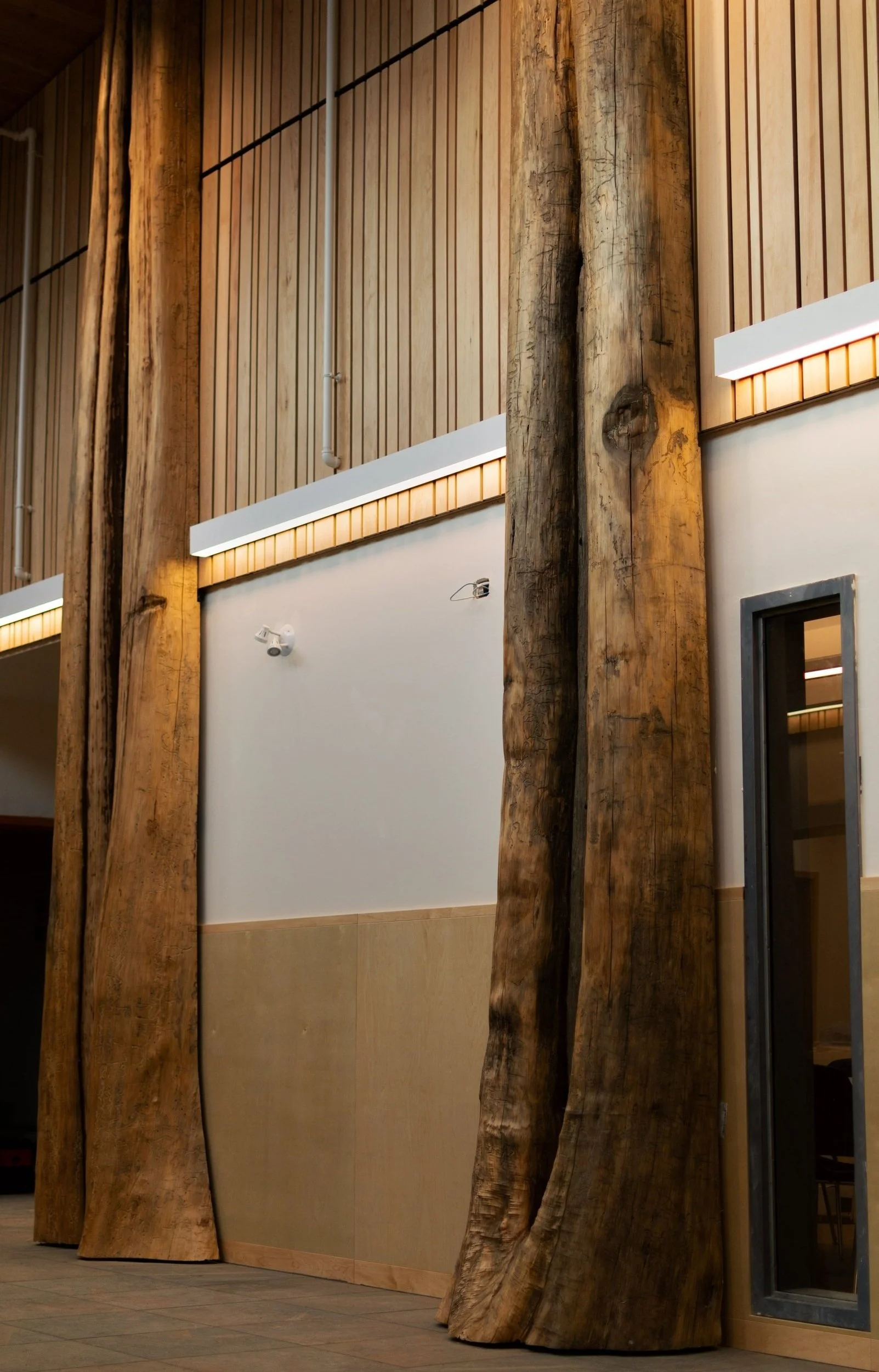 Our Story — C3Alliance