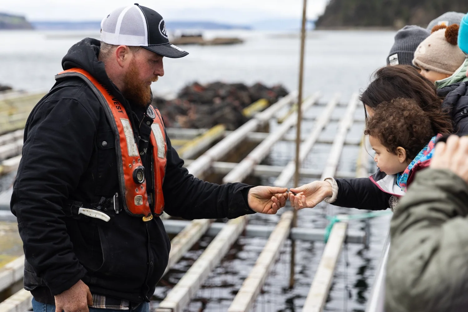 Boat Tours | Explore Mussel Farms — Book Now — Penn Cove Musselfest 2026