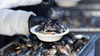 Penn Cove Musselfest 2026