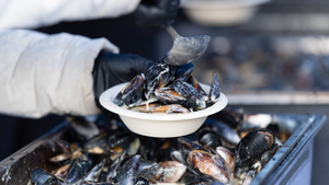 Mussel Mingle — Penn Cove Musselfest 2025