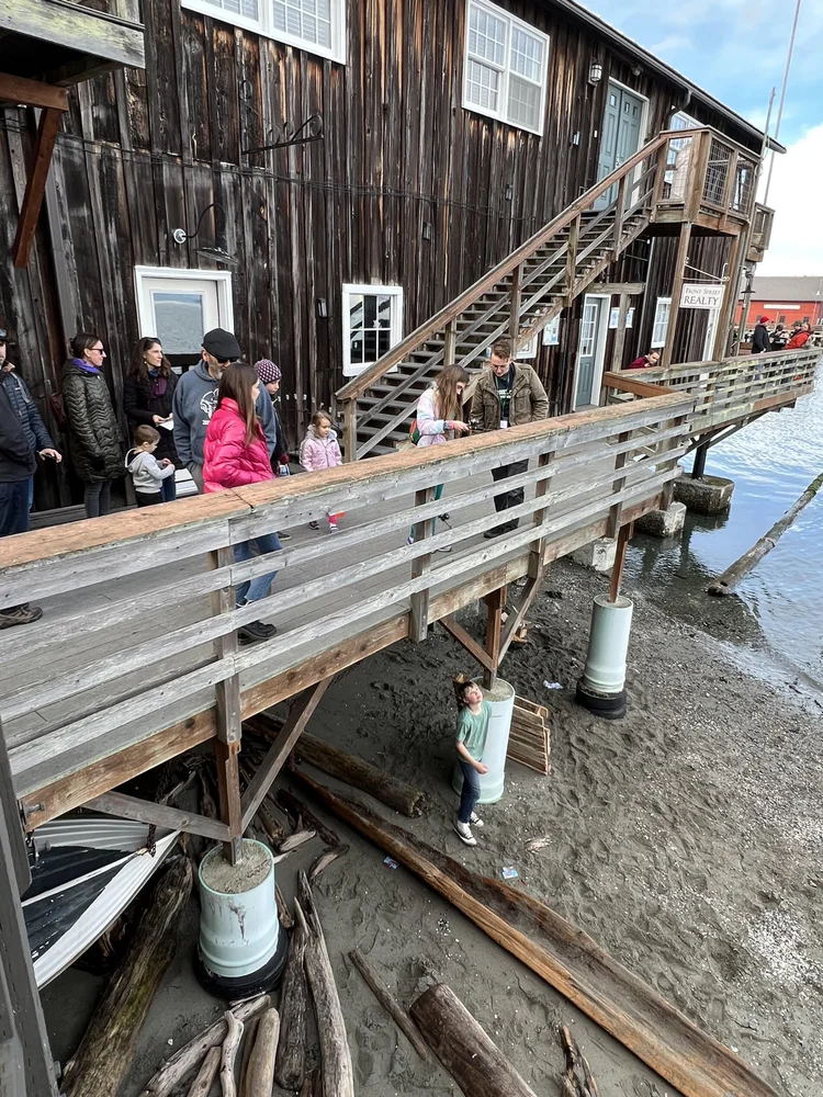 Volunteer — Penn Cove Musselfest