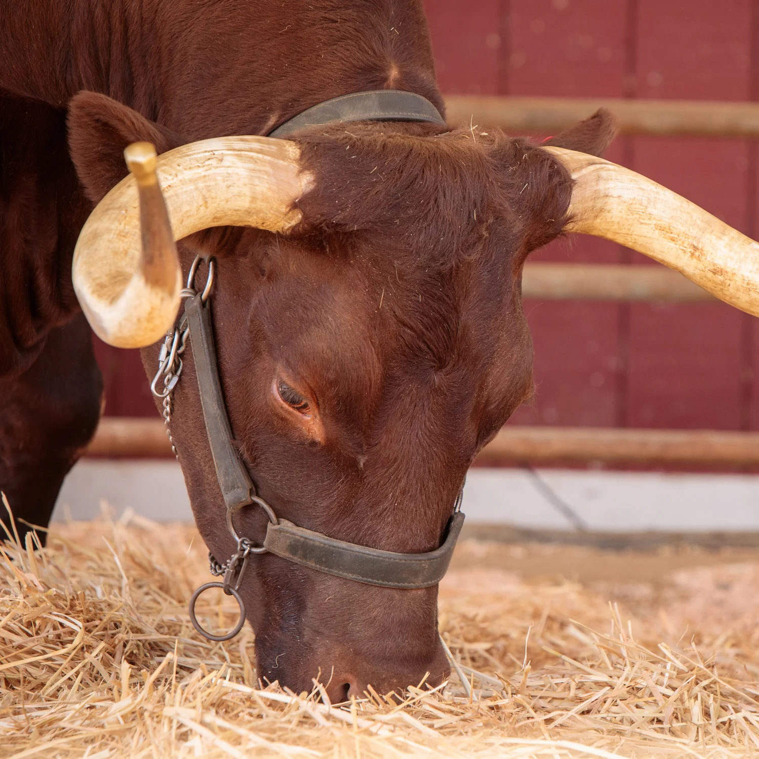 Centennial Farm Foundation