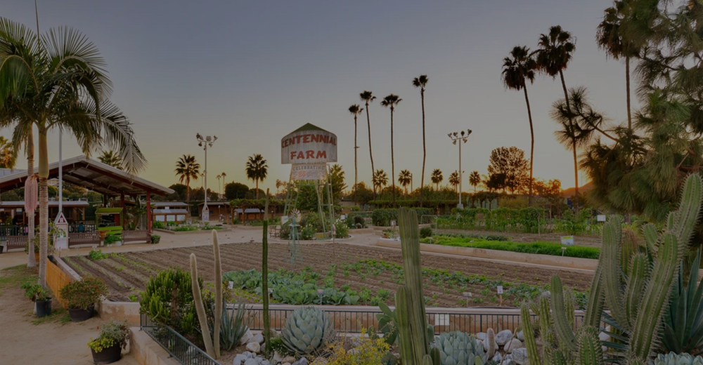 Centennial Farm Foundation