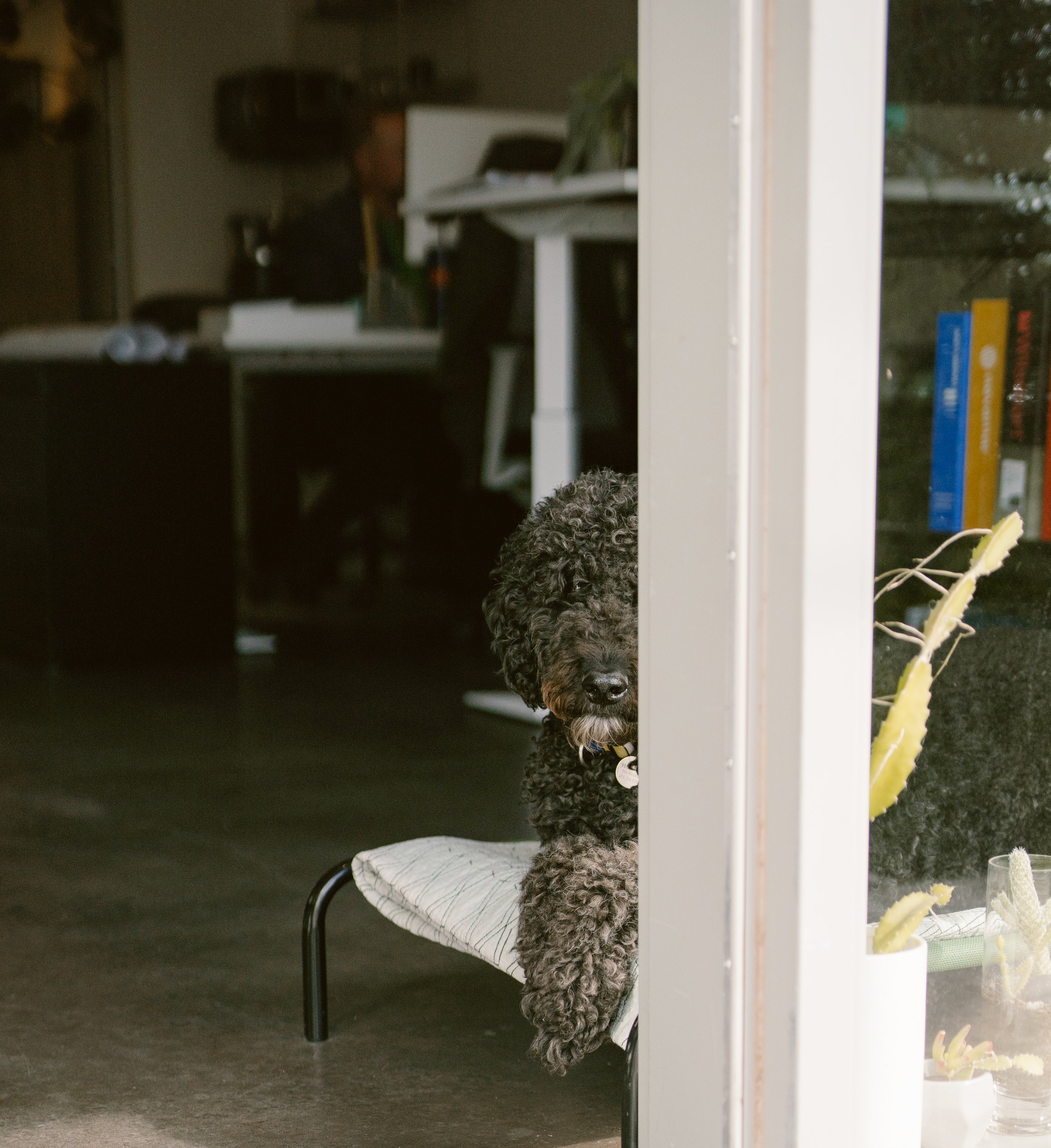 About — ROAM Studio