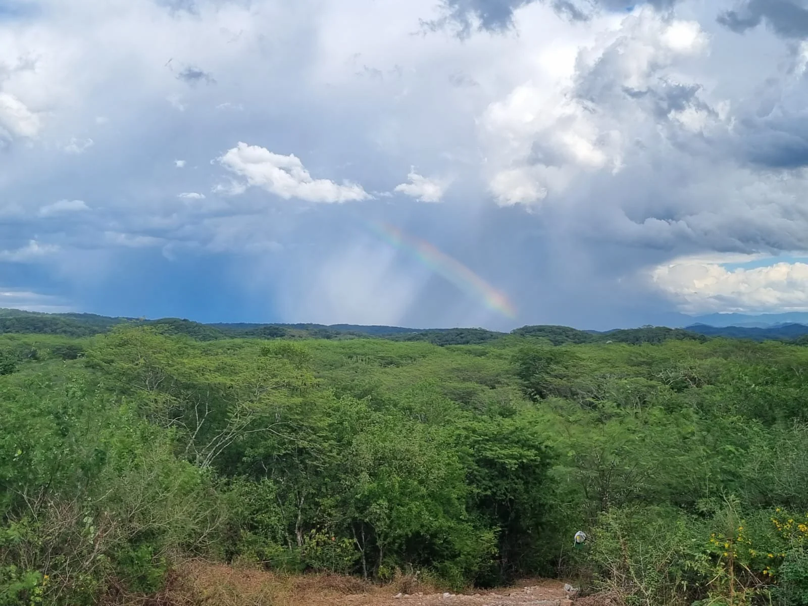 Huya Aniwa Foundation