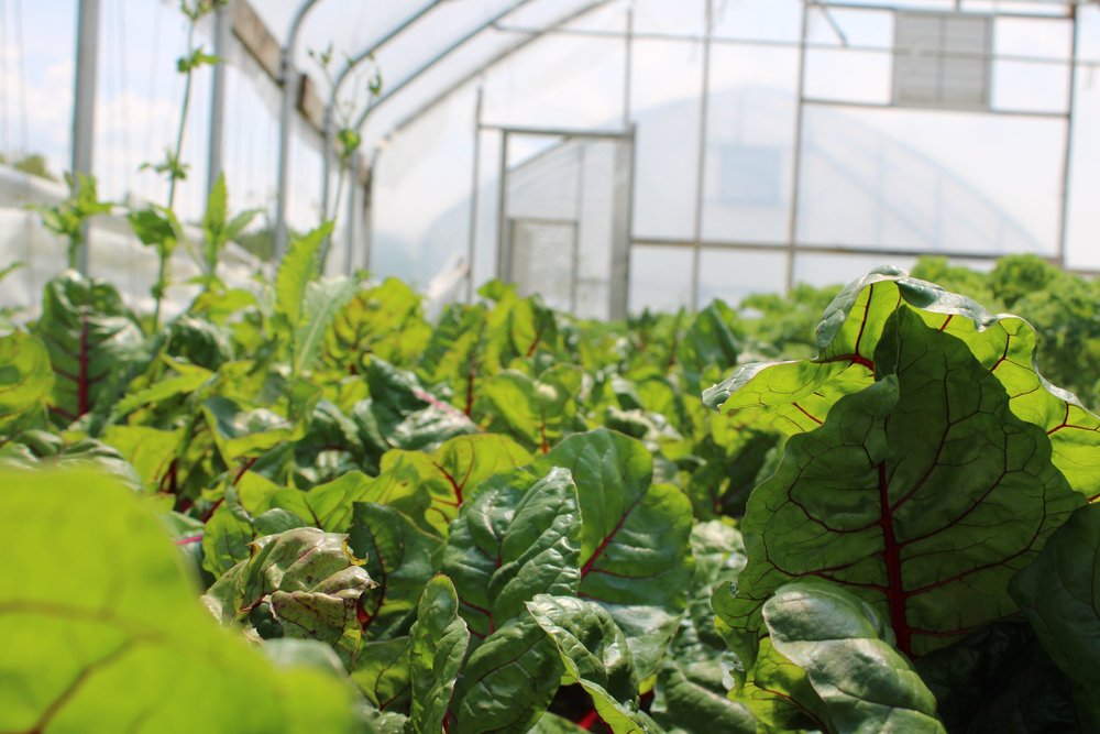 Directories Wisconsin Local Food Directory — WI LFPA