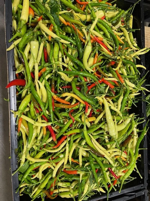 Hunger Task Force LFPA — WI LFPA