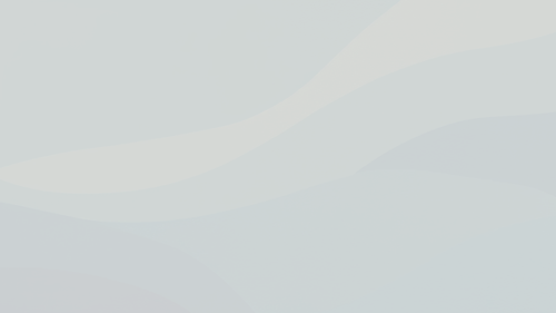 Team — Miami Angels