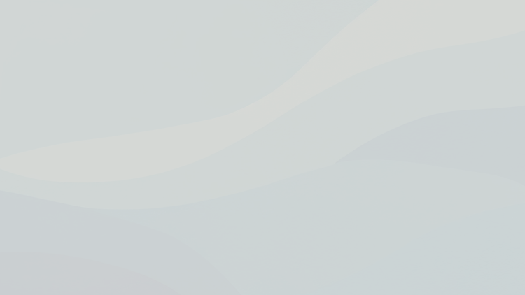 Team — Miami Angels