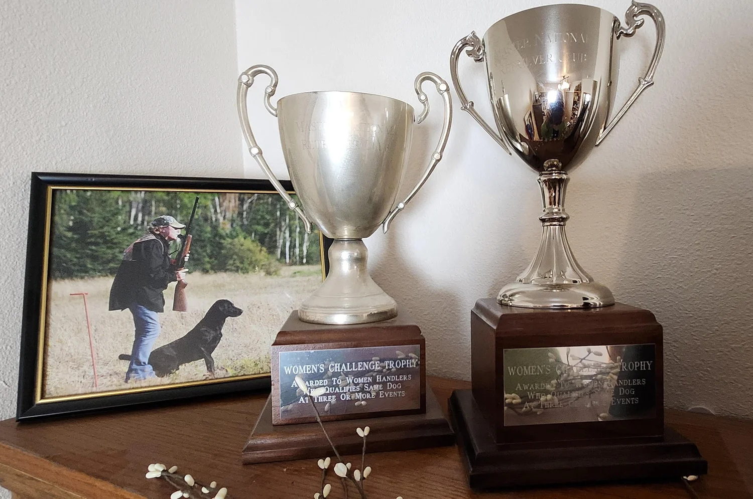 Bio — Bayside Labradors