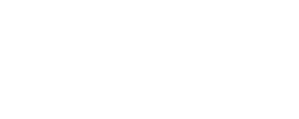 Wind Drinker Equine Bodywork and Massage