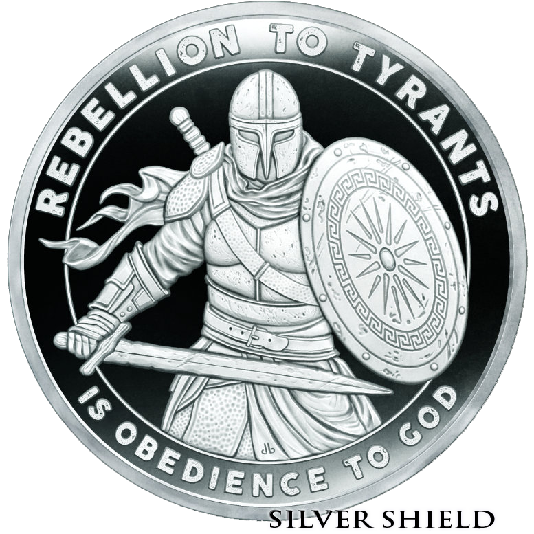 2024 Gallery of Silver Coins & Silver Rounds — Silver Shield Coins ...