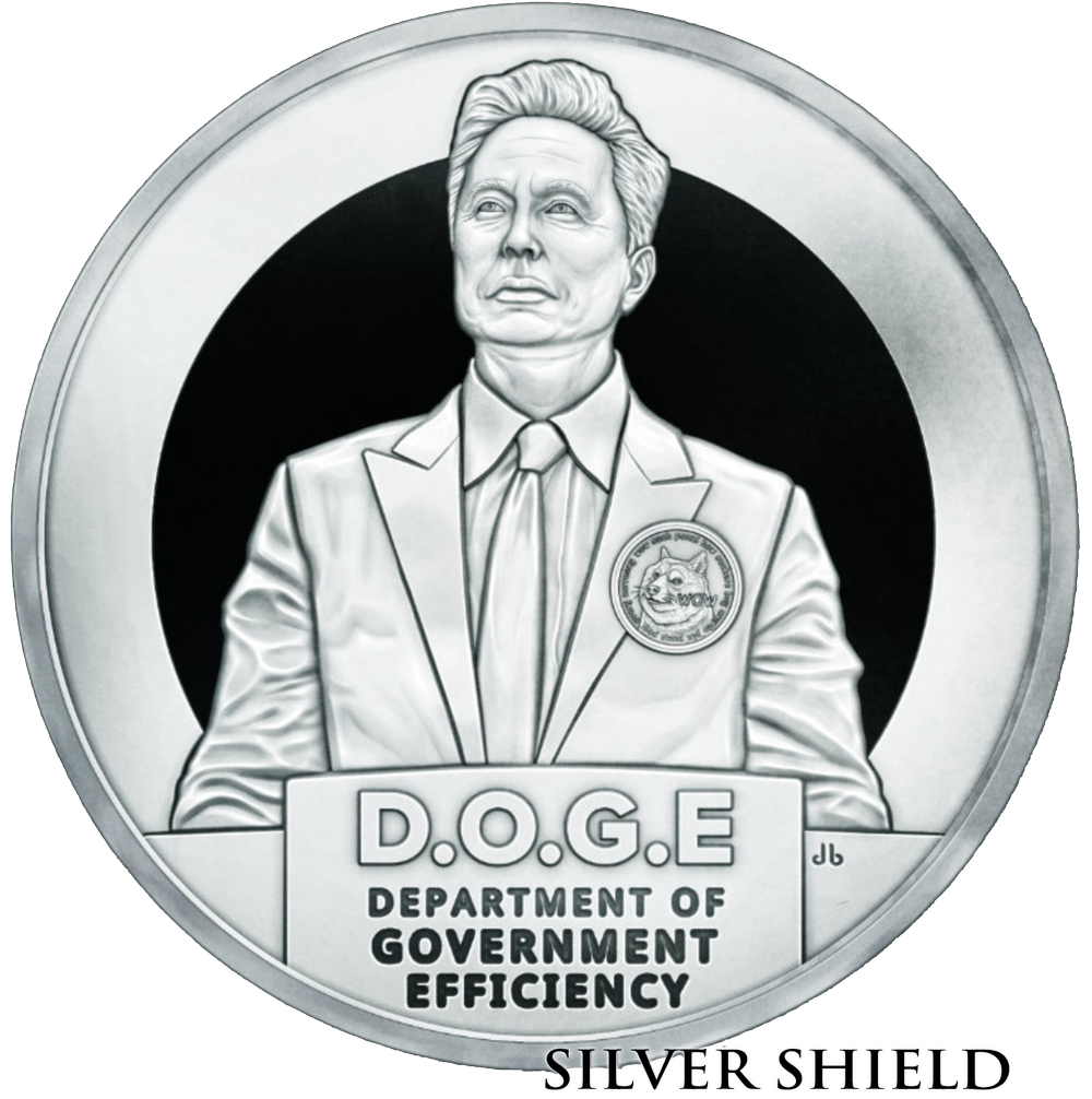 Elon Musk, DOGE, and Venice’s Legacy: A New Era in Government ...