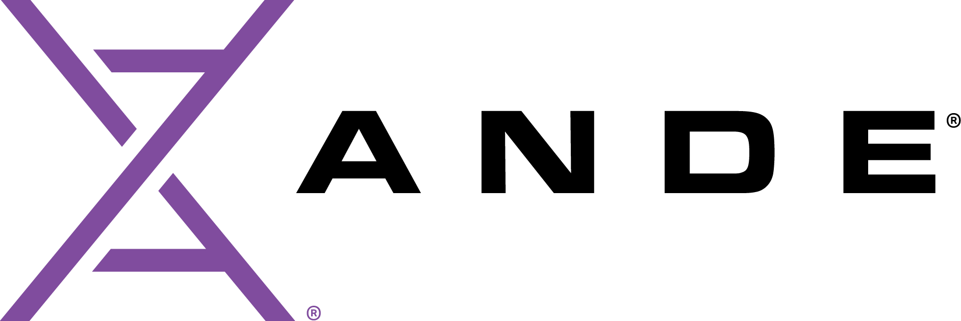 ANDE - Rapid DNA Technology