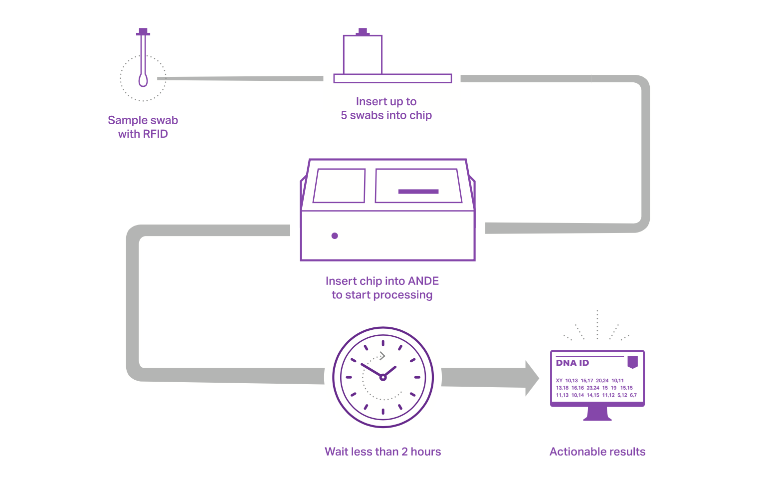 What is Rapid DNA? — ANDE