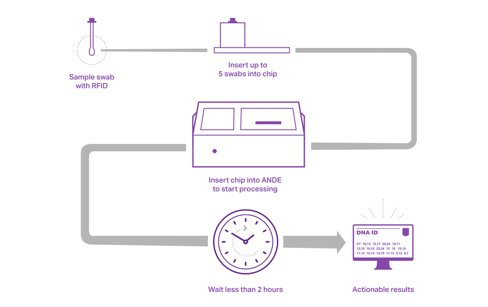 What is Rapid DNA? — ANDE