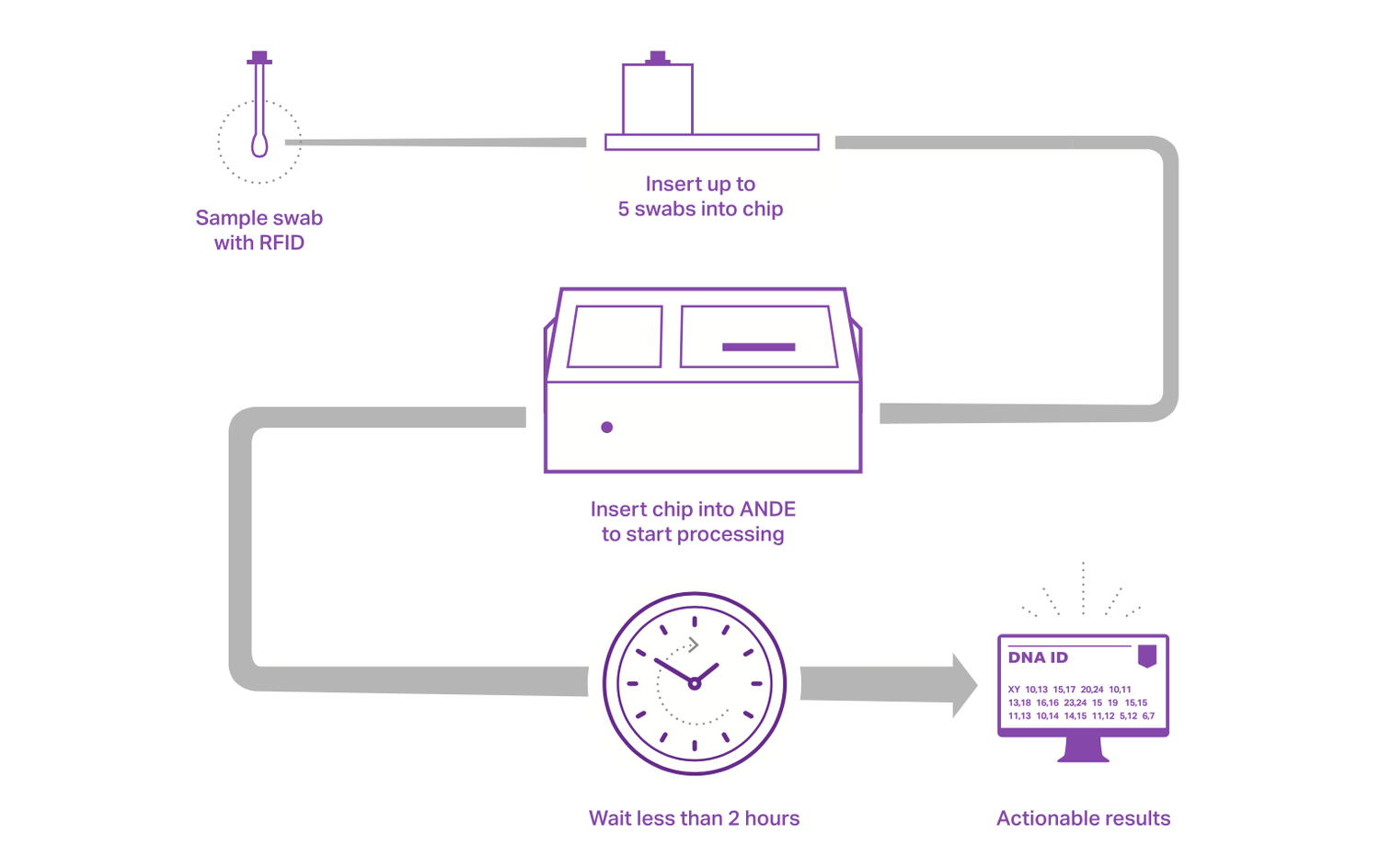What is Rapid DNA? — ANDE