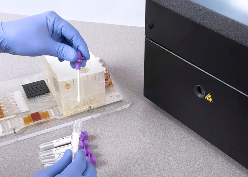 What is Rapid DNA? — ANDE®