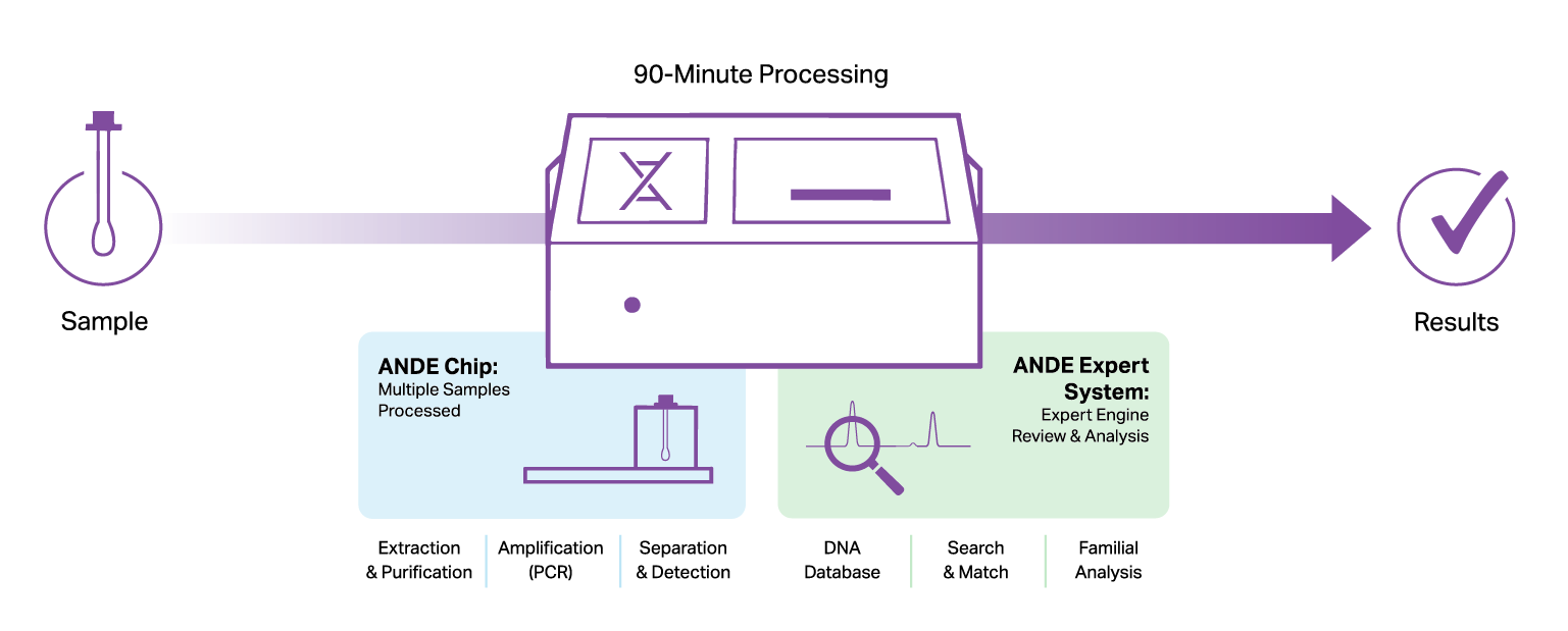 What is Rapid DNA? — ANDE®