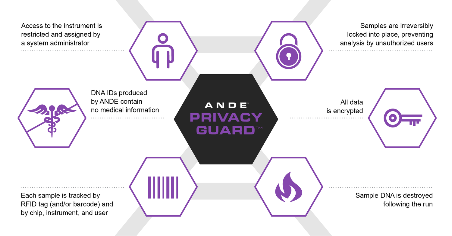 What is Rapid DNA? — ANDE®