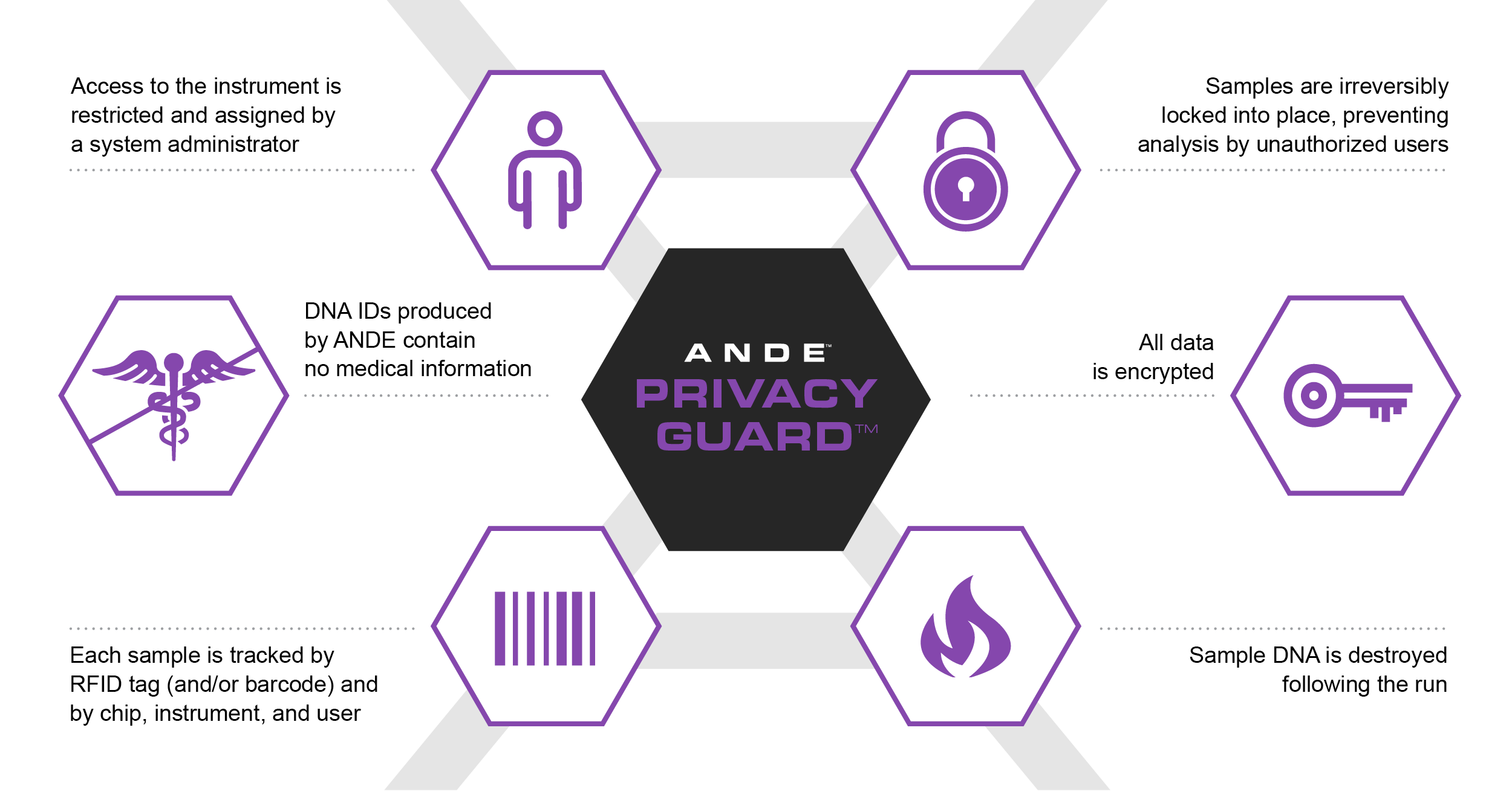 What is Rapid DNA? — ANDE®