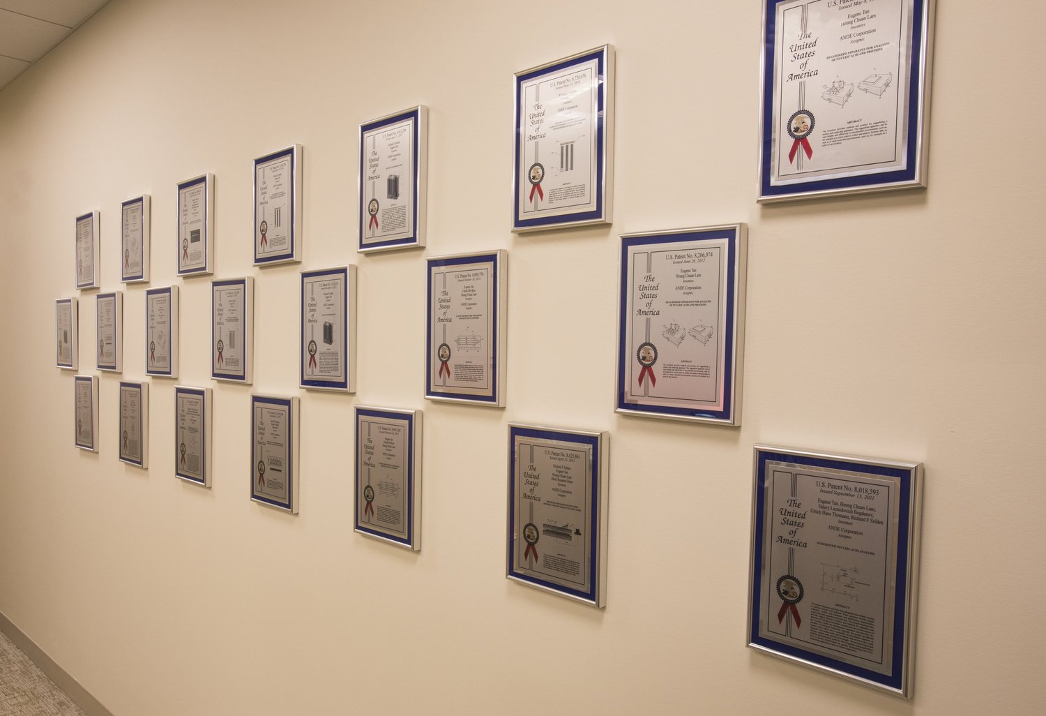 About ANDE Rapid DNA — ANDE®