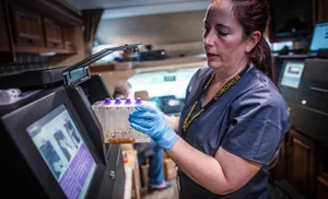 ANDE - Rapid DNA Technology