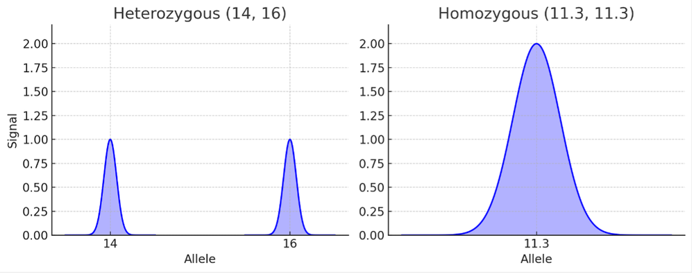 STR Analysis Explained — ANDE®